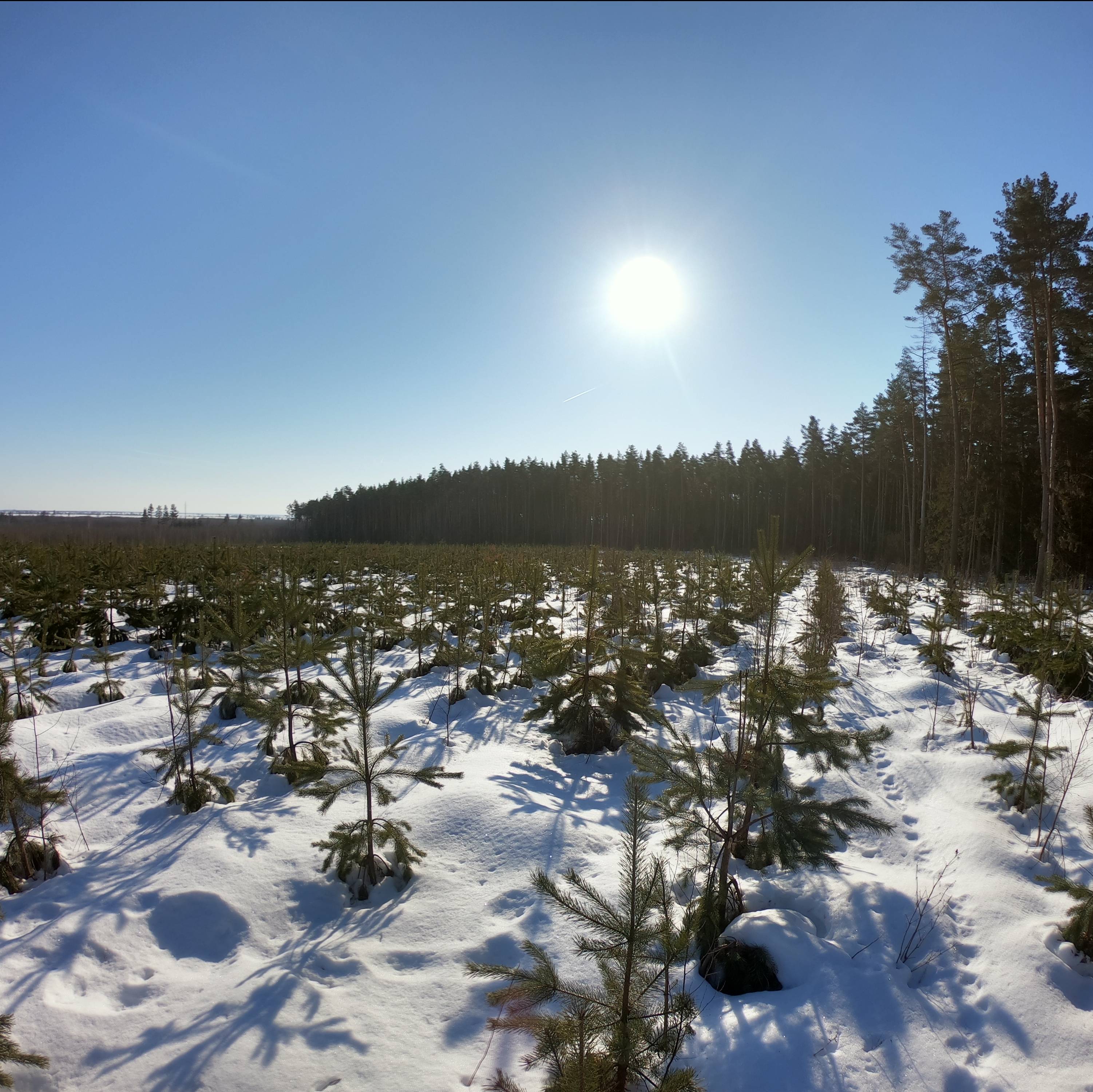 Иконка канала Макаров Павел