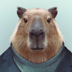 Иконка канала Patrik