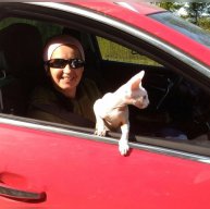 Иконка канала Гармония каменистого садика