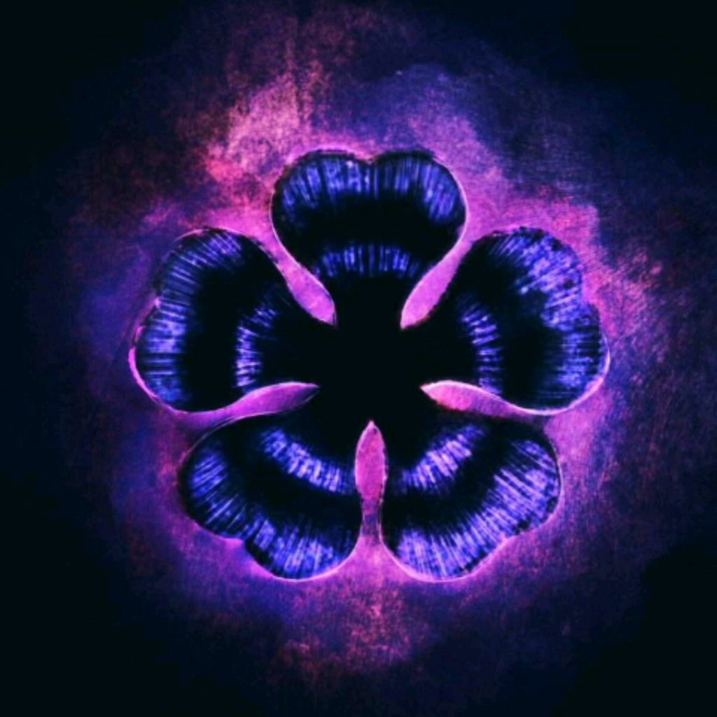 Иконка канала foximab