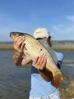 Иконка канала Дочь Рыбака