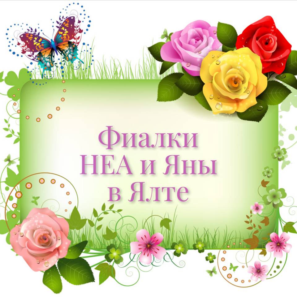Иконка канала Фиалки НЕА и Яны в Ялте