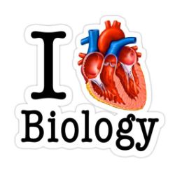 Иконка канала химбио