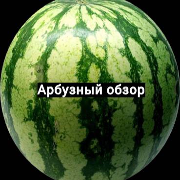 Иконка канала Арбузный обзор