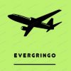 Иконка канала Evergringo