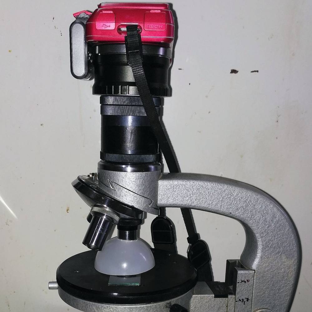 Иконка канала Бедный зоолог