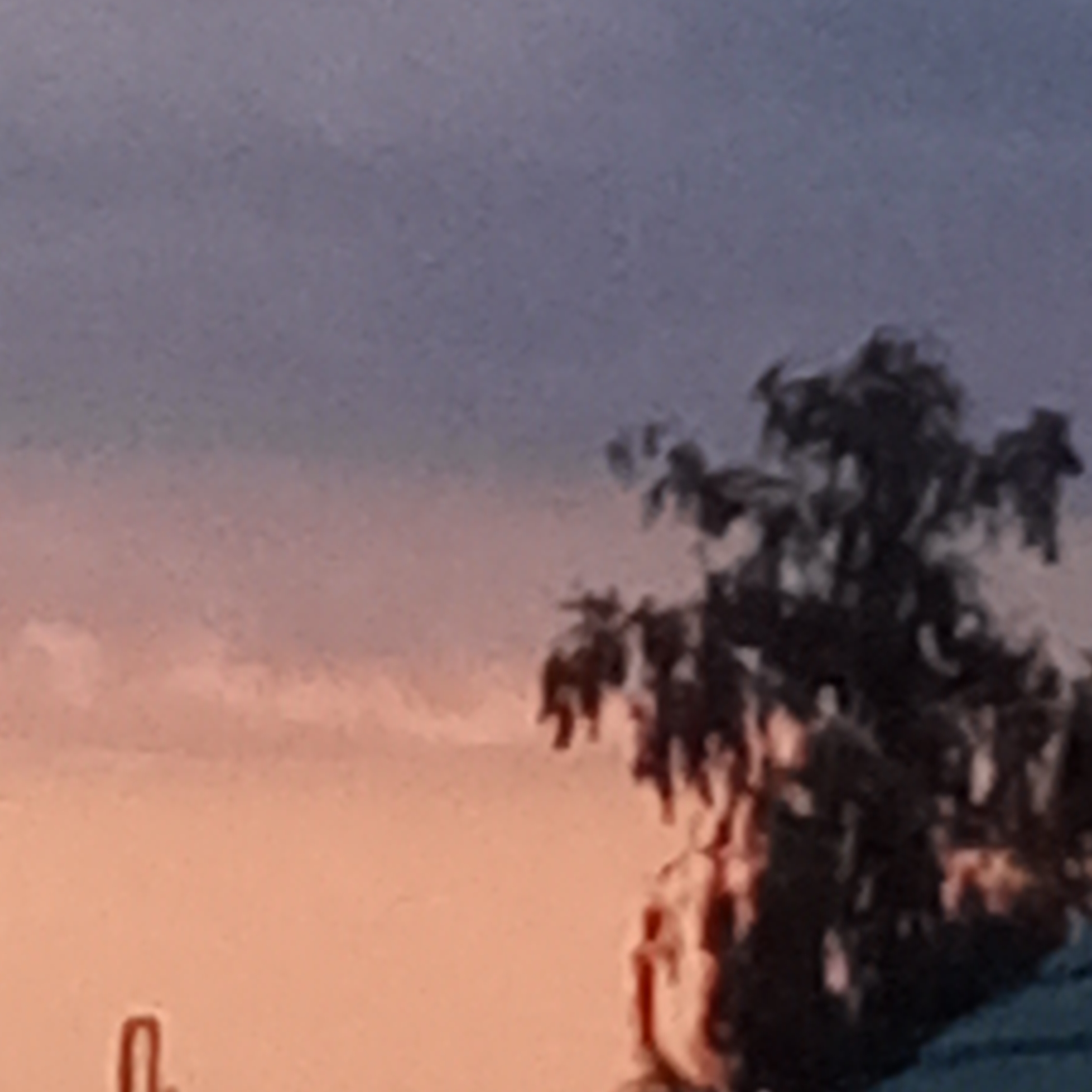 Иконка канала Пчелы и огород как бизнес