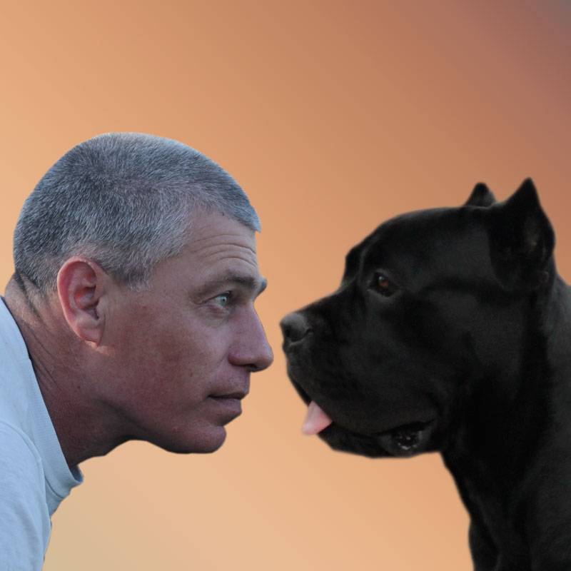 Иконка канала Кане Корсо Деррек и его семья