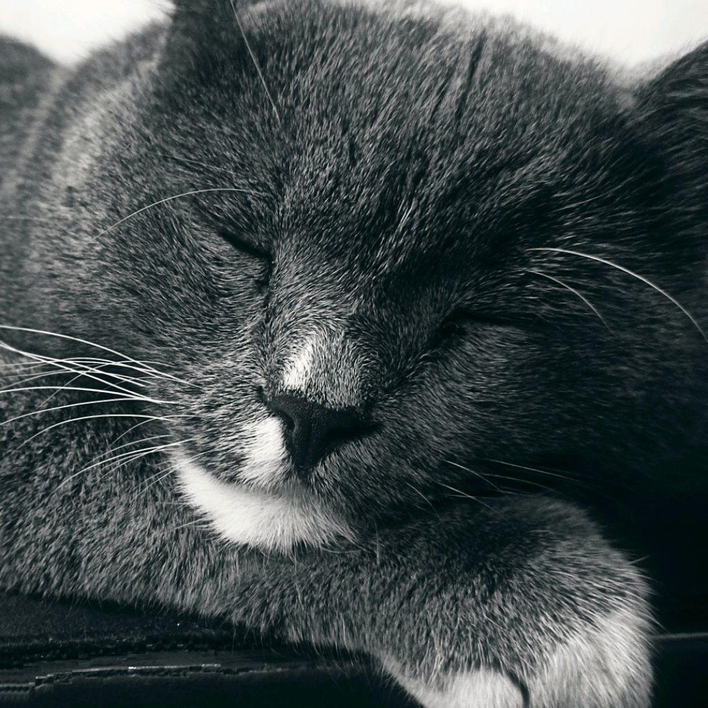 Иконка канала Кудрик 35