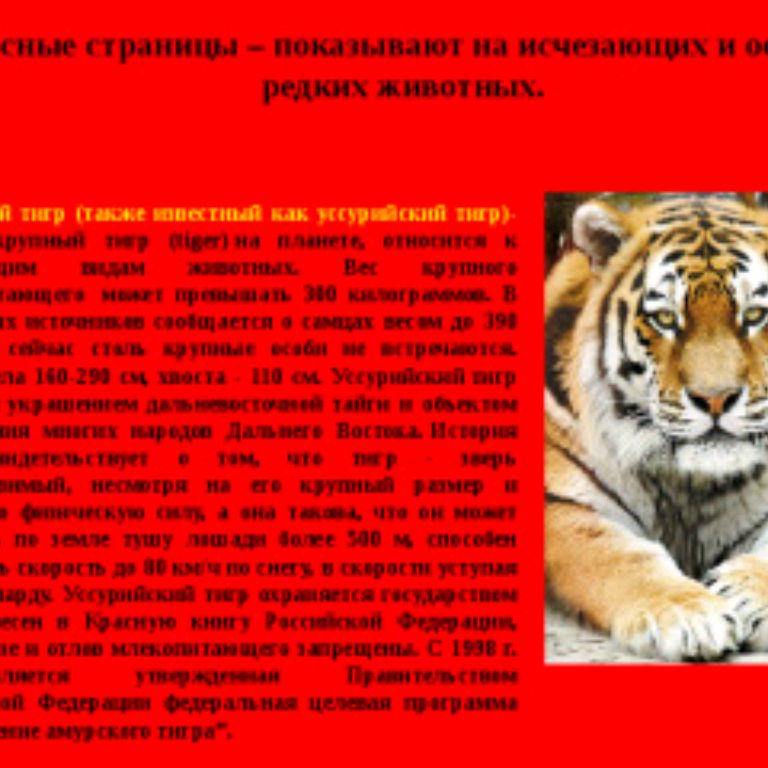 Иконка канала Я сынмин😔