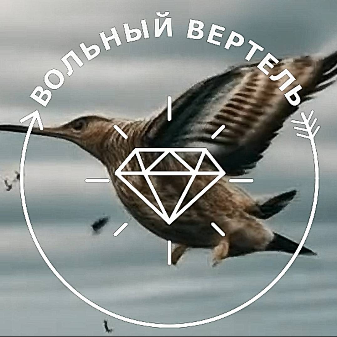 Иконка канала ВОЛЬНЫЙ ВЕРТЕЛЬ