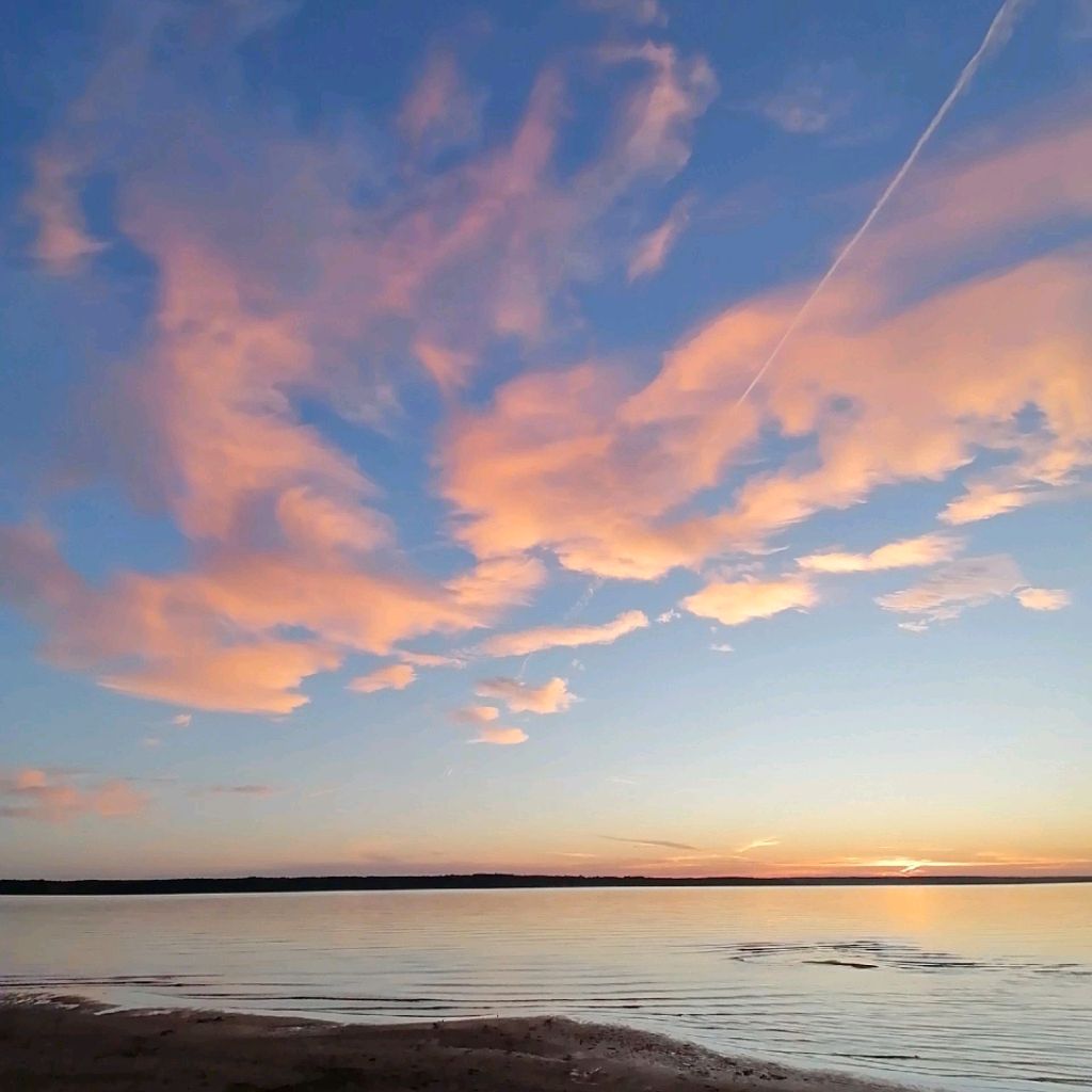 Иконка канала Реальная реальность.