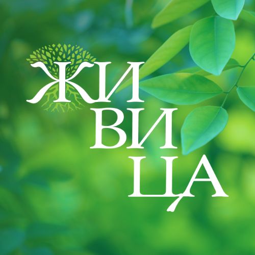 Иконка канала ЖИВИЦА