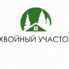 Иконка канала 🌳Хвойный 🌲 Участок 🌳