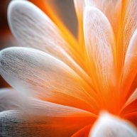 Иконка канала Нереальная Реальность! Романтичный канал!