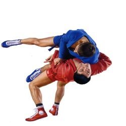 Иконка канала sambo70-svao