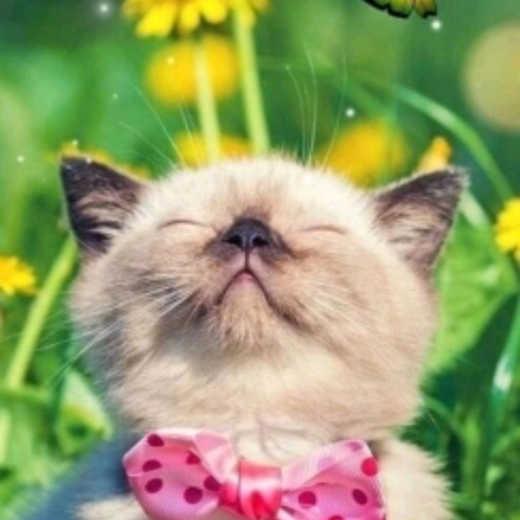 Иконка канала MoneysGo