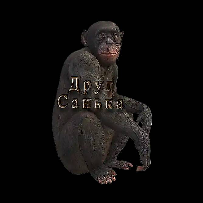 Иконка канала друг Ваш - санька