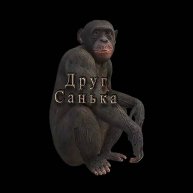 Иконка канала друг Ваш - санька