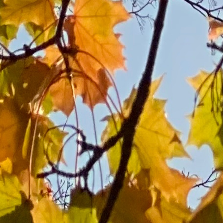 Иконка канала Новостройки Псков