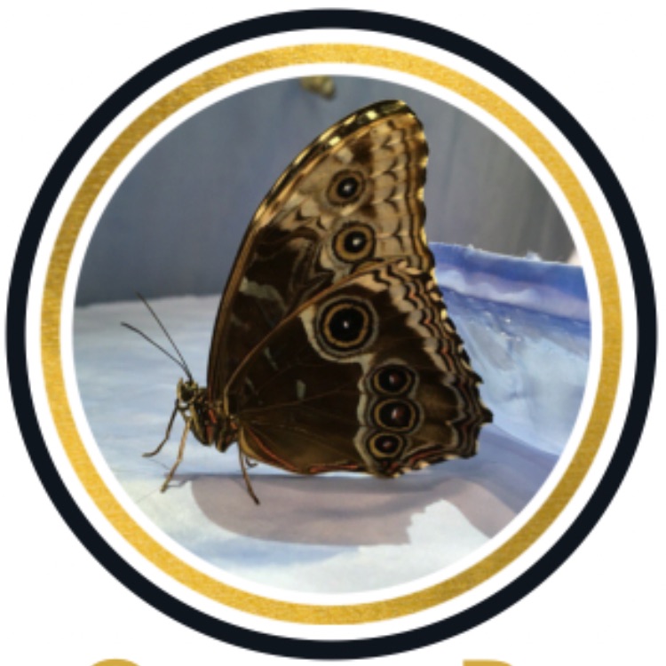 Иконка канала Oxana Ba |Путешествуем на машине -живём на севере