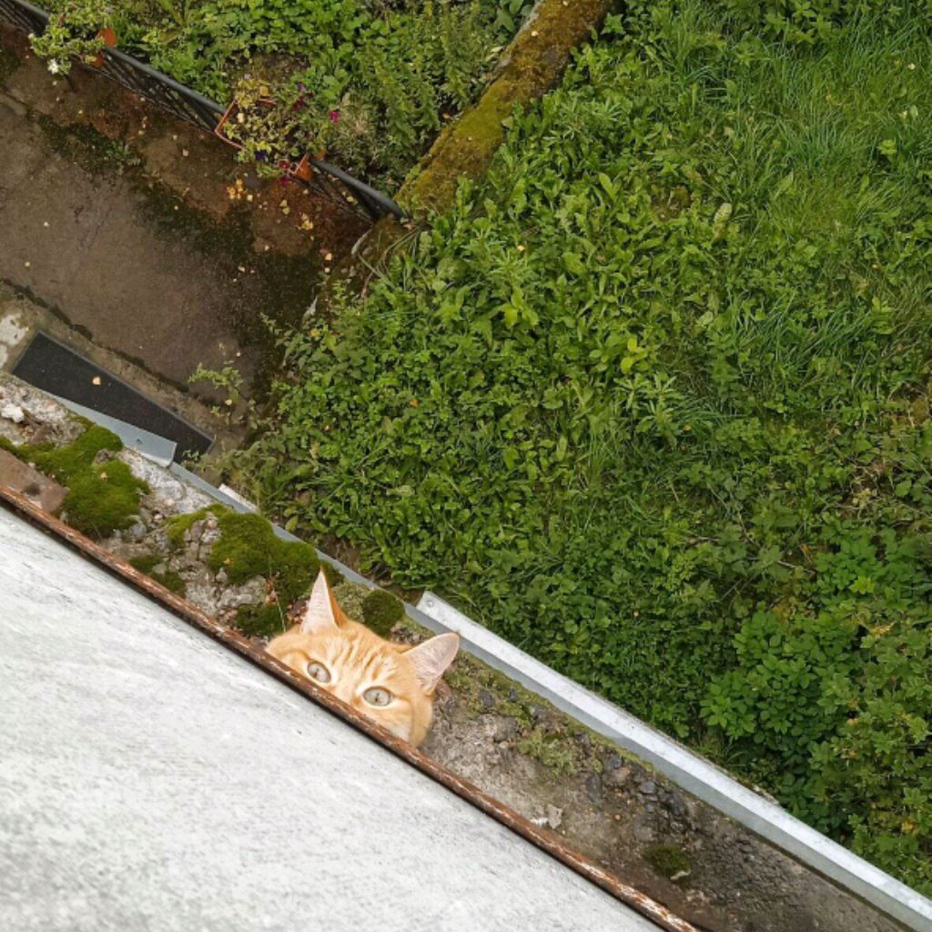 Иконка канала Всё обо всем