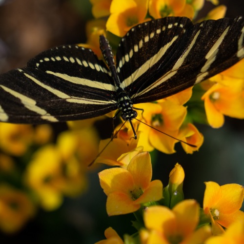 Иконка канала Всегда солнечно