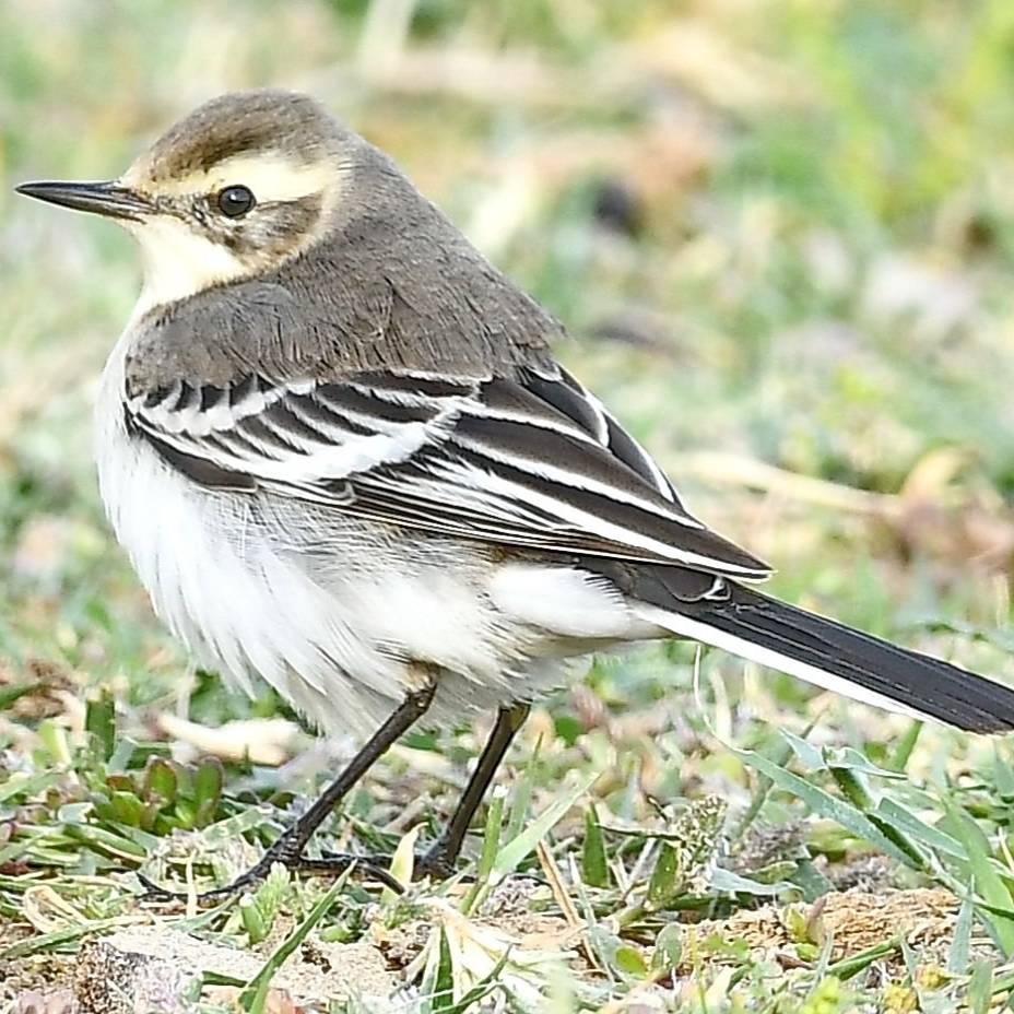 Иконка канала Канал Д