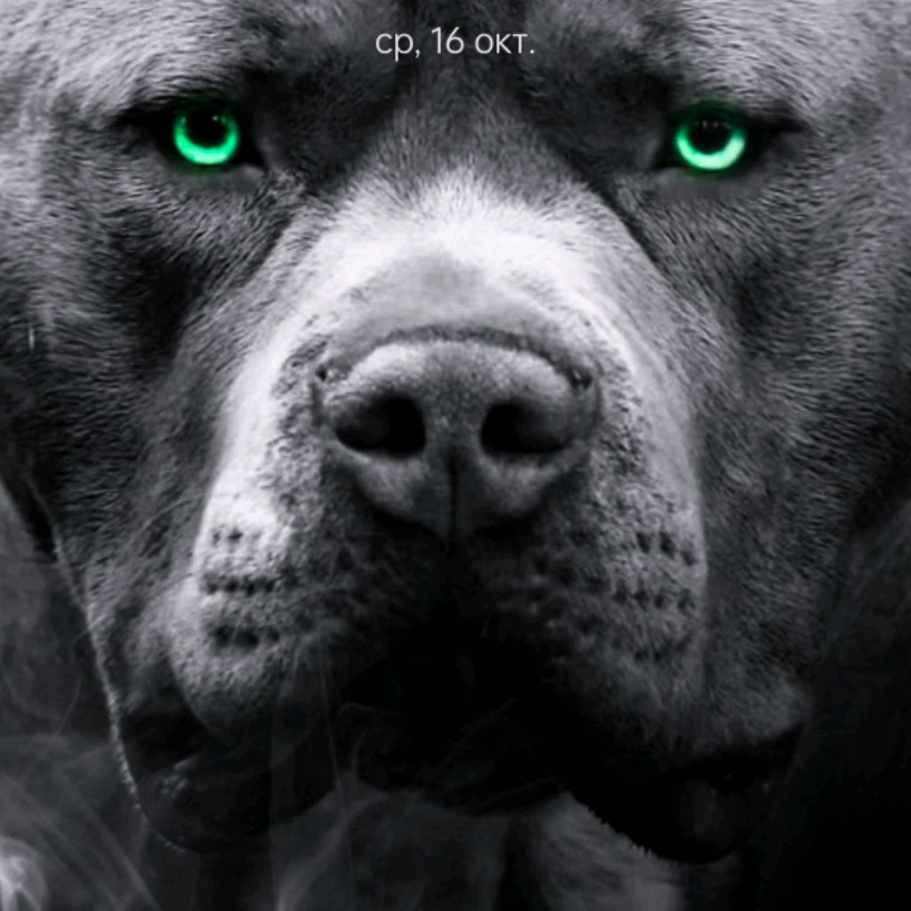 Иконка канала Sefplafon.office.ufa