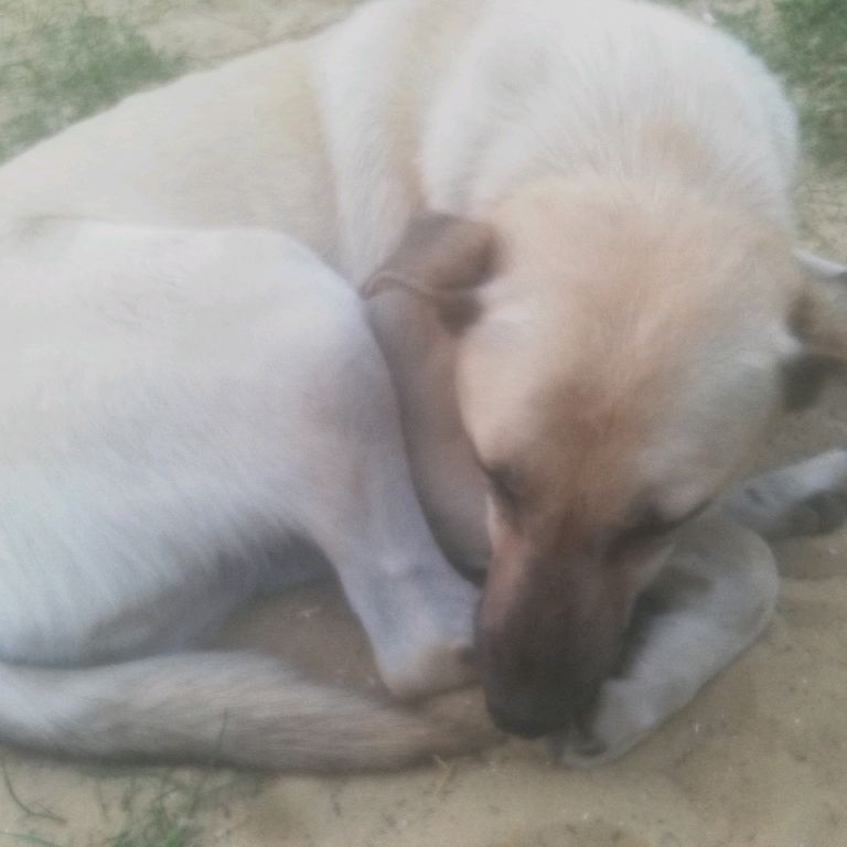 Иконка канала Матвей про