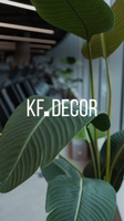 Иконка канала KF Decor