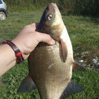 Иконка канала Батя отдыхает