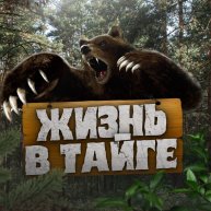 Иконка канала жизнь в тайге