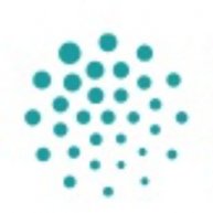 Иконка канала Диссертационные советы Университета "Сириус"