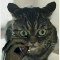 Иконка канала sevdodger