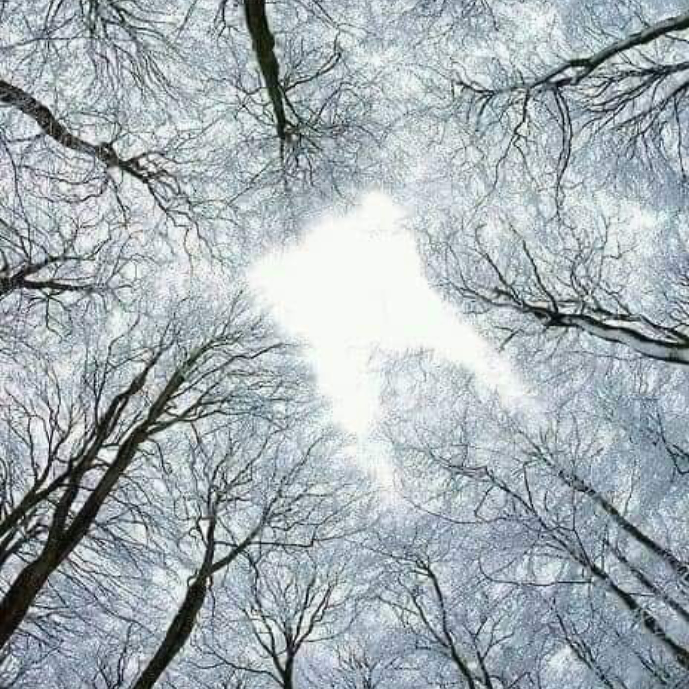 Иконка канала ЦИС ЦИФРА