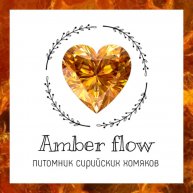 Иконка канала Amber flow