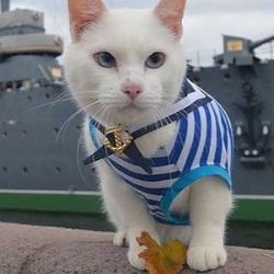 Иконка канала История и современность