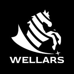 Иконка канала Wellars