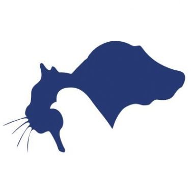 Иконка канала Компания "Удачный полёт"