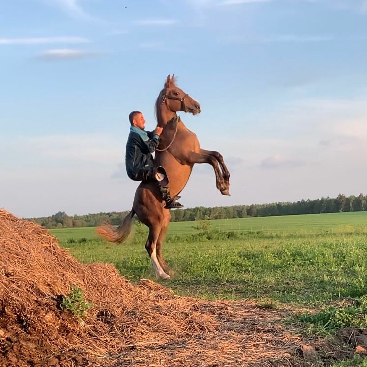 Иконка канала Николай 46