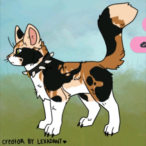 Иконка канала Сонька квд