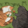 Иконка канала Котики