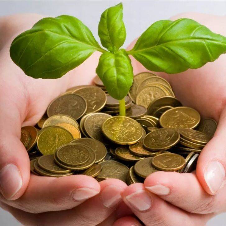 Иконка канала Живу в деревне без зарплаты!