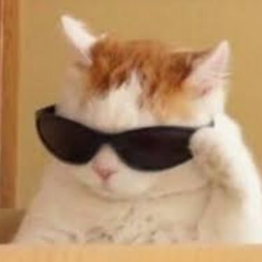 Иконка канала Sigmakot52