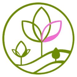 Иконка канала lotosdm