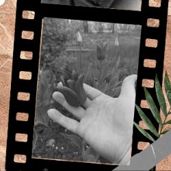 Иконка канала Я скучаю по душе. Николь Колина