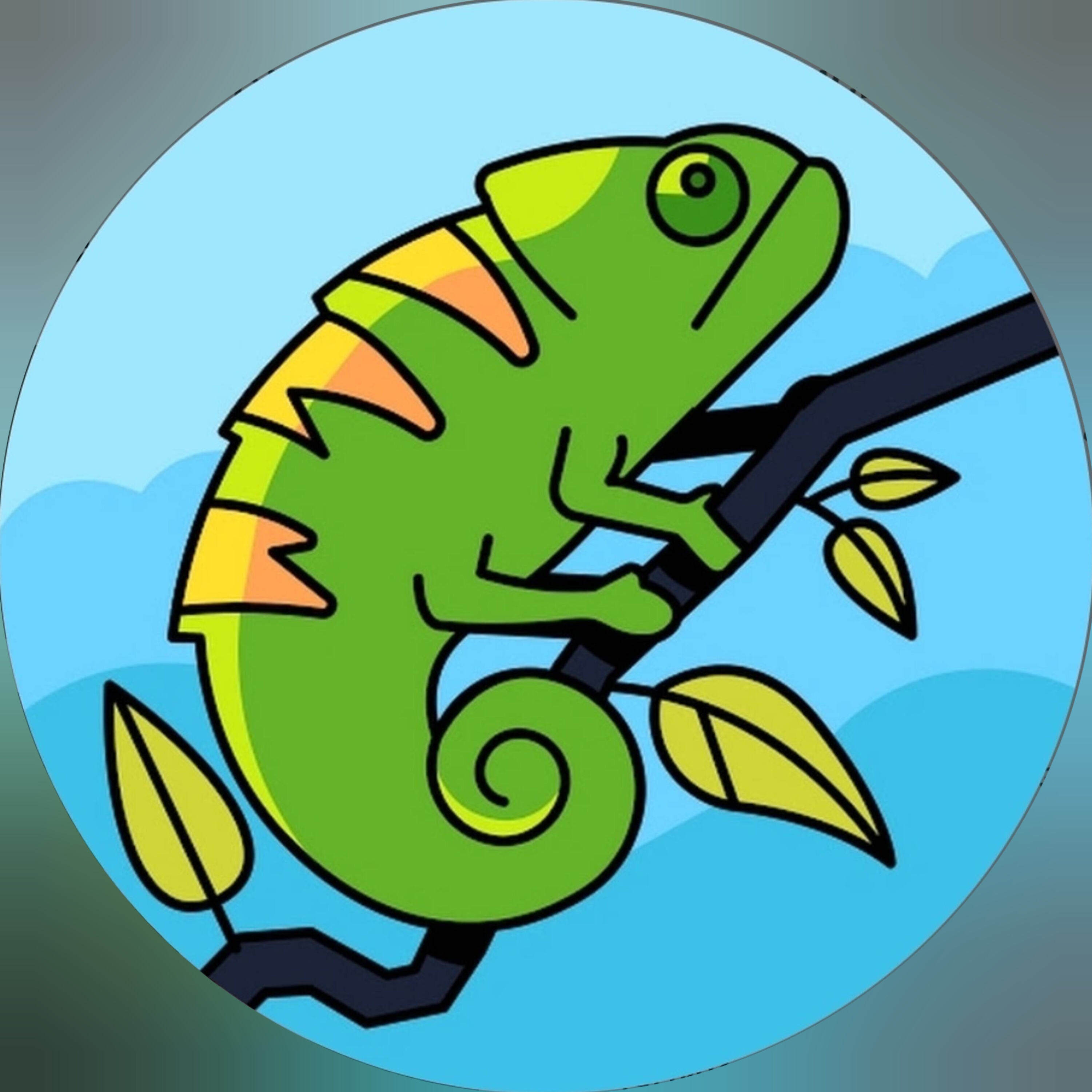 Иконка канала ZOOAmir