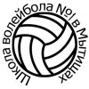 Иконка канала Школа волейбола №1 в Мытищах