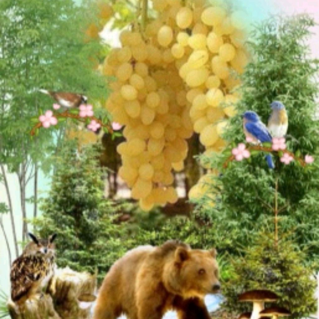 Иконка канала Вкуснейшие рецепты от Евгении.